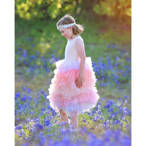 Whitney Elizabeth | Dresses | Pink Ombre Dress Long Pink Tutu Dress ...